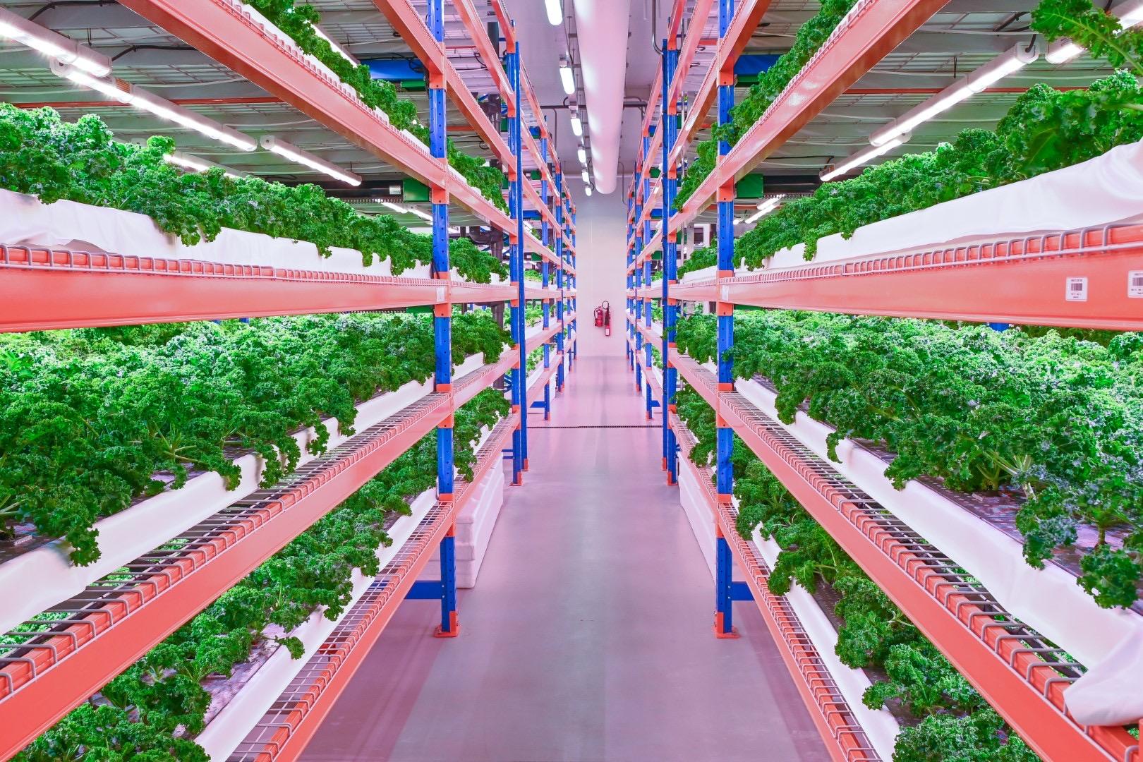 Strategies for enhancing food security through sustainable agriculture ...