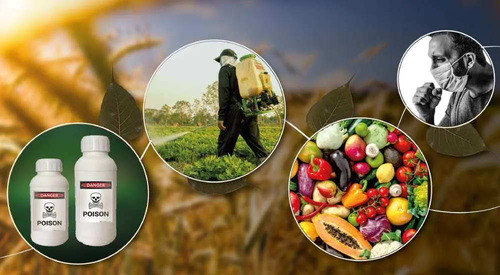The Impact of Pesticides and Herbicides on Ecosystems – AGRIHELPAFRICA